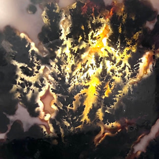 Woodward Ranch Plume Agate Slab – Lucky Calico